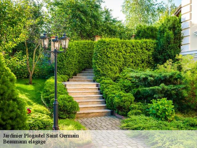 Jardinier passionné à Plogastel Saint Germain tél: 02.52.56.18.82